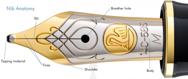 Fountain Pen Nib Infographic by Pen Chalet