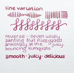 Fountain Pen Writing Samples