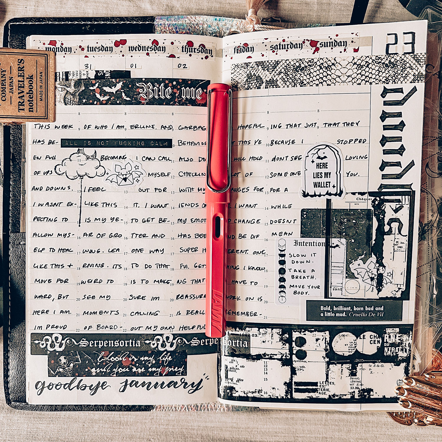 Lamy Safari Fountain Pen Review: Best Fountain Pens for Beginners - Pen ...