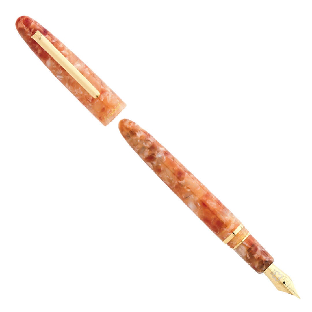 Esterbrook Limited Edition Petrified Forest Estie Fountain Pens